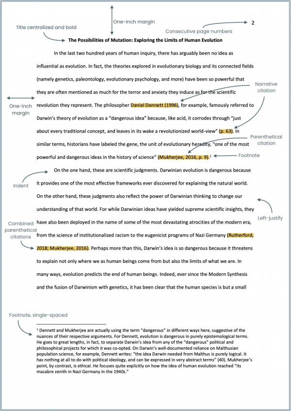APA Format: Formatting Rules Explained - TypeCite