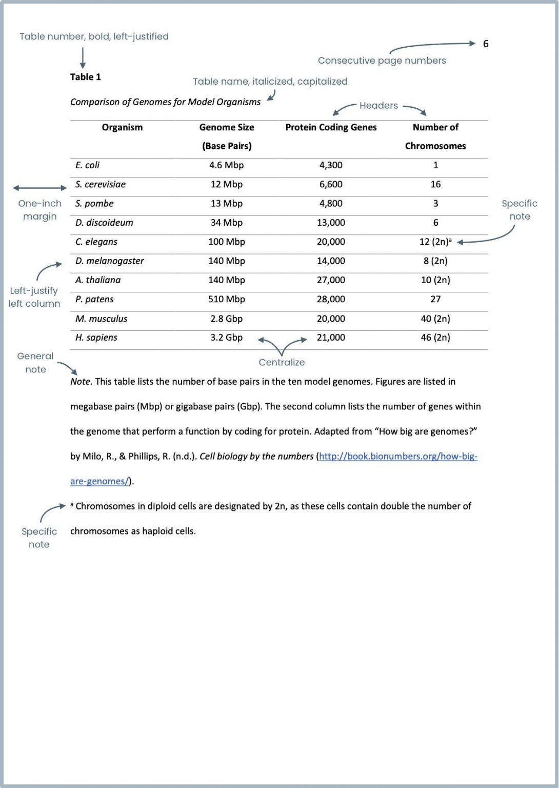 APA Format: Formatting Rules Explained - TypeCite