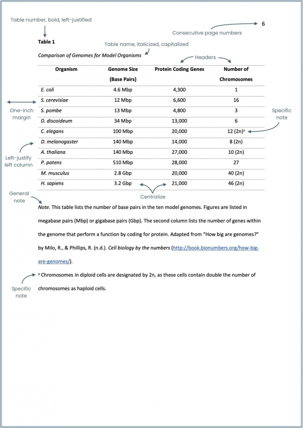 APA Format: Formatting Rules Explained - TypeCite APA Format: Formatting Rules Explained - TypeCite